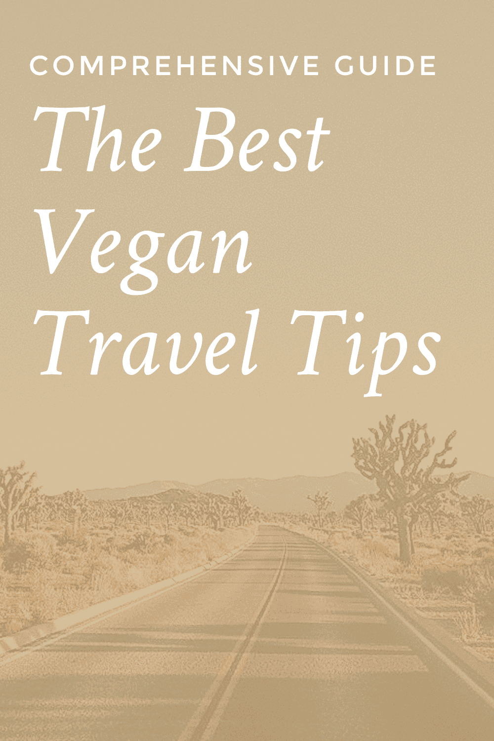 11 Vegan Travel Tips You NEED to Know! | Best Served Vegan